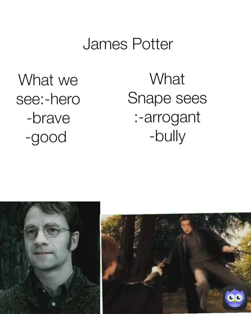 James Potter What we see:-hero -brave -good What Snape sees:-arrogant ...