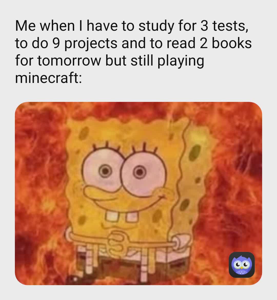 Post by @frisca_la_tub | Memes