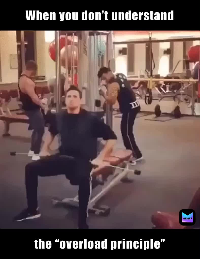 When you don’t understand the “overload principle” | @leah-gilmore | Memes