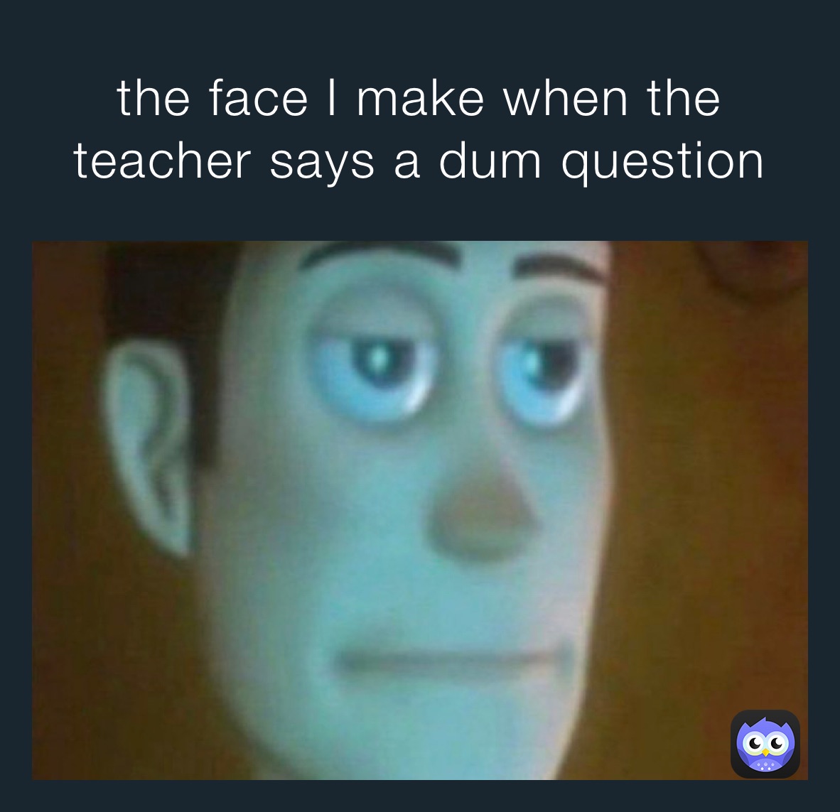 the face I make when the teacher says a dum question | @nivvy_21 | Memes