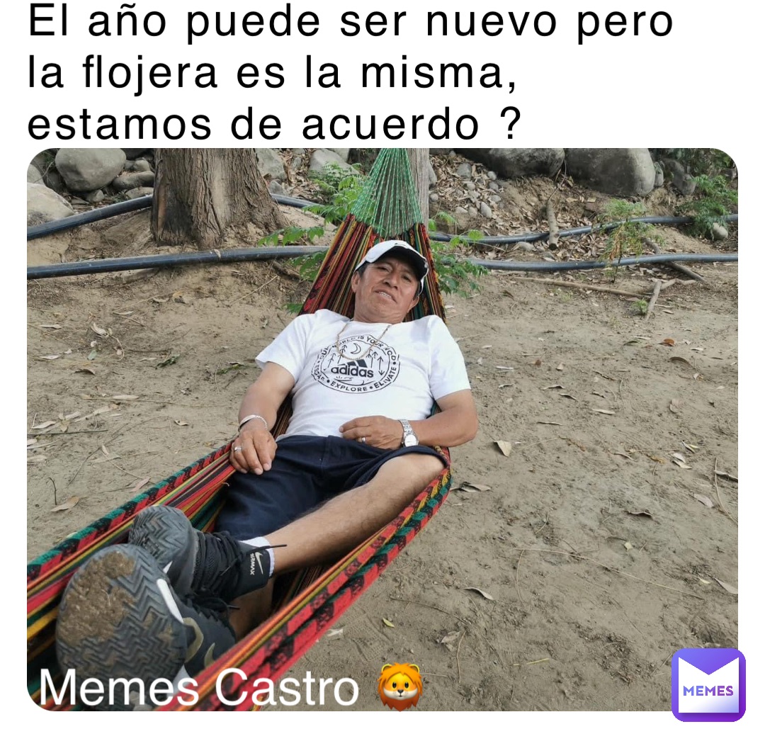 El año puede ser nuevo pero la flojera es la misma, estamos de acuerdo ...