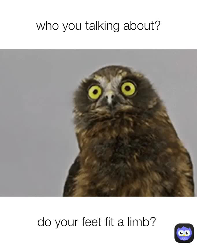 do your feet fit a limb? who you talking about? | @jongewaardj | Memes