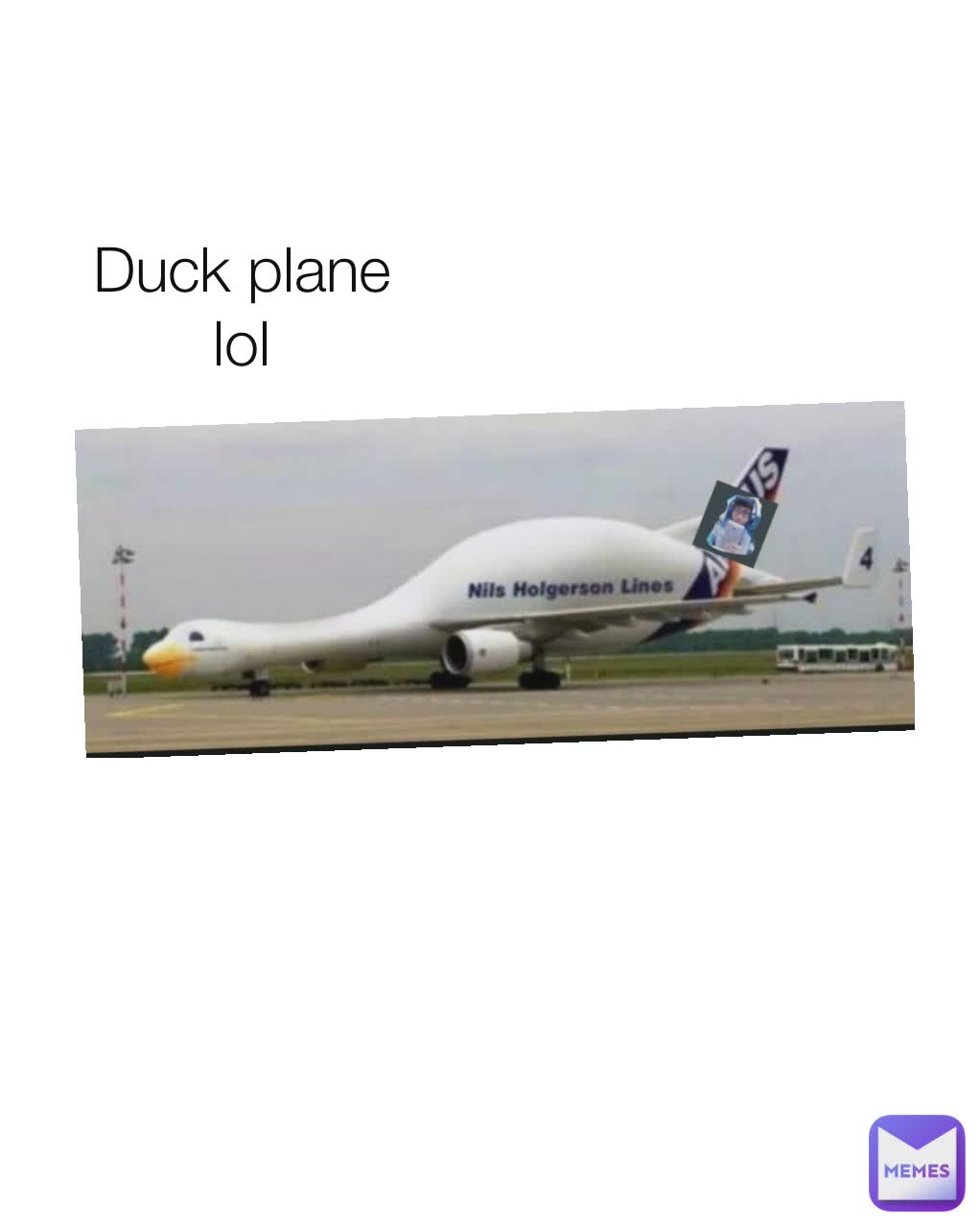 Duck plane lol | @llol1234567890000000 | Memes