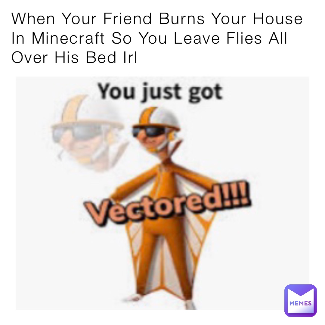 When Your Friend Burns Your House In Minecraft So You Leave Flies All ...