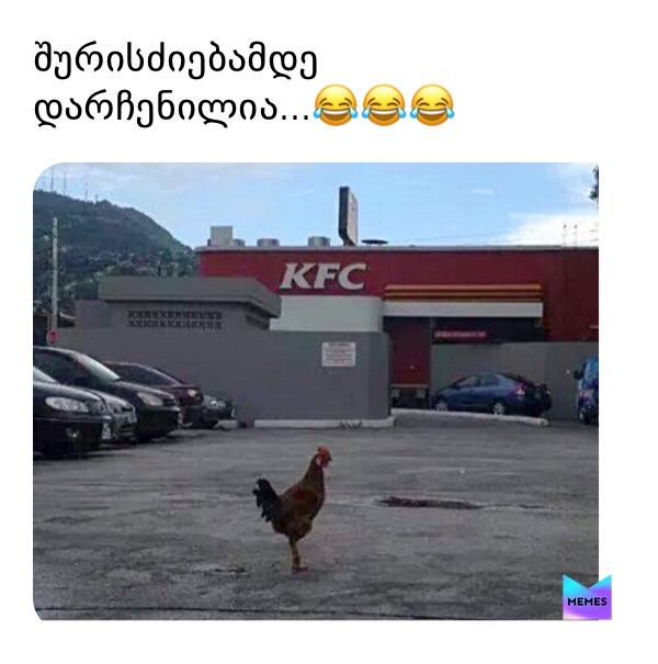 Post by @goga | Memes