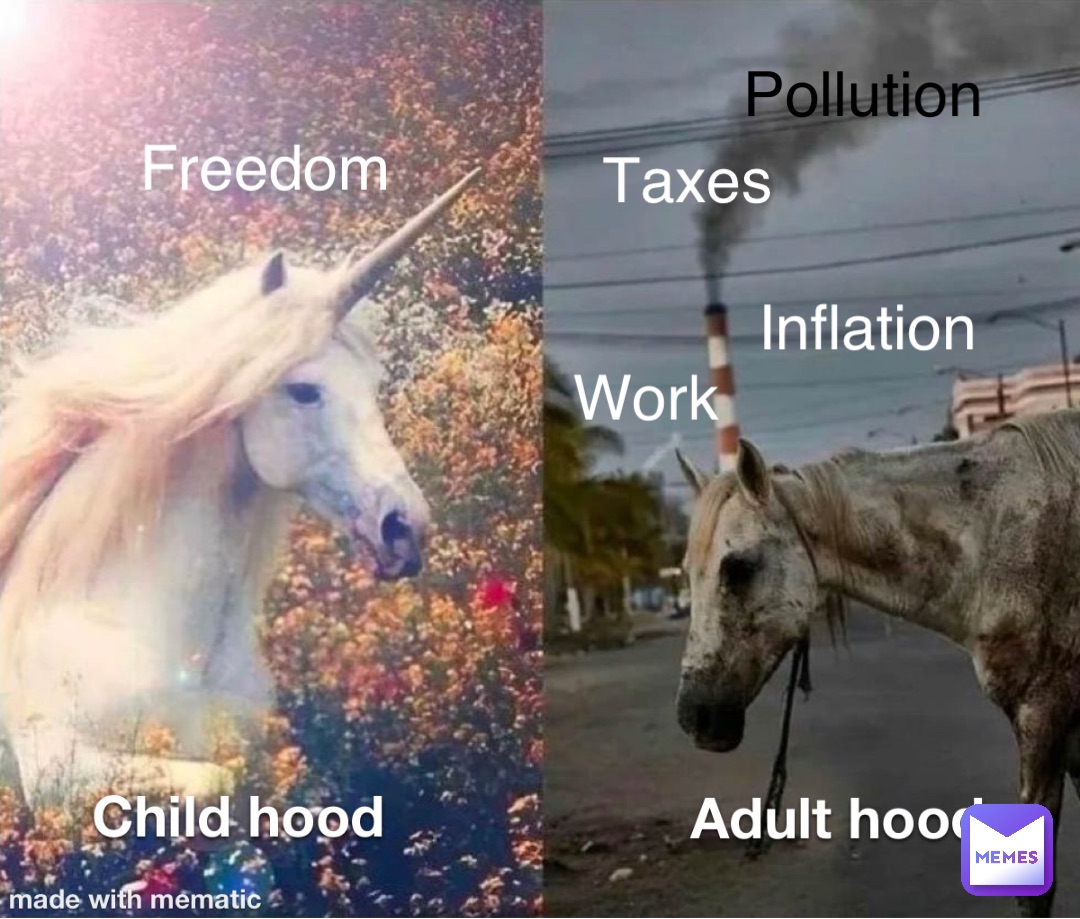 Freedom Taxes Inflation Work Pollution | @swagger_chief | Memes