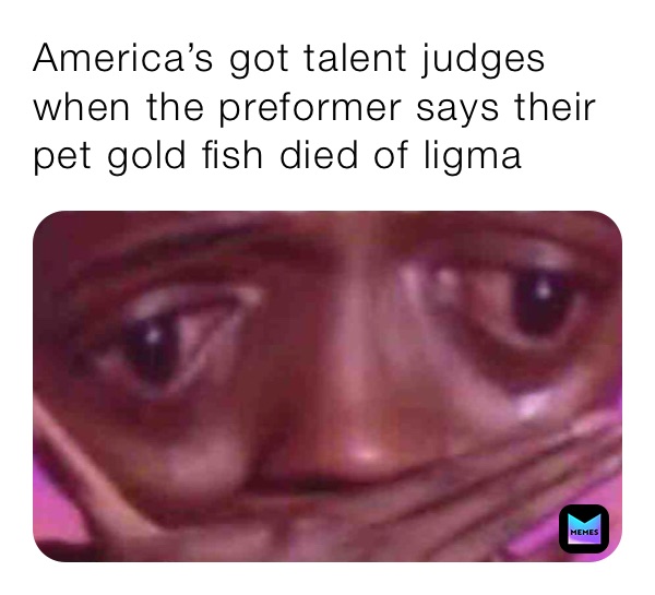 America’s got talent judges when the preformer says their pet gold fish ...