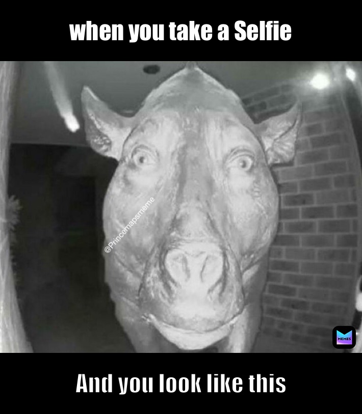 Post by @princemaps_rsa | Memes