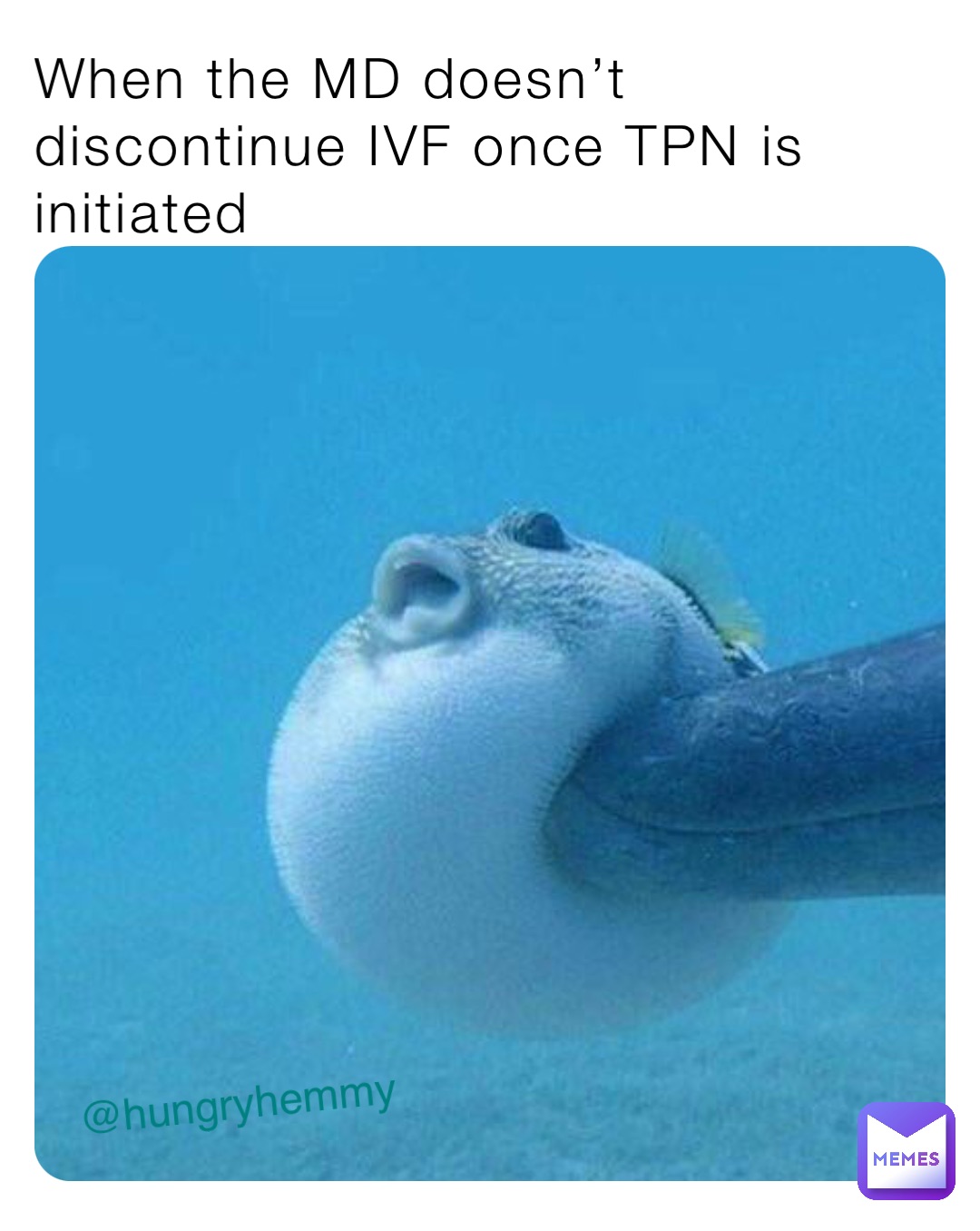 When the MD doesn’t discontinue IVF once TPN is initiated | @karen ...