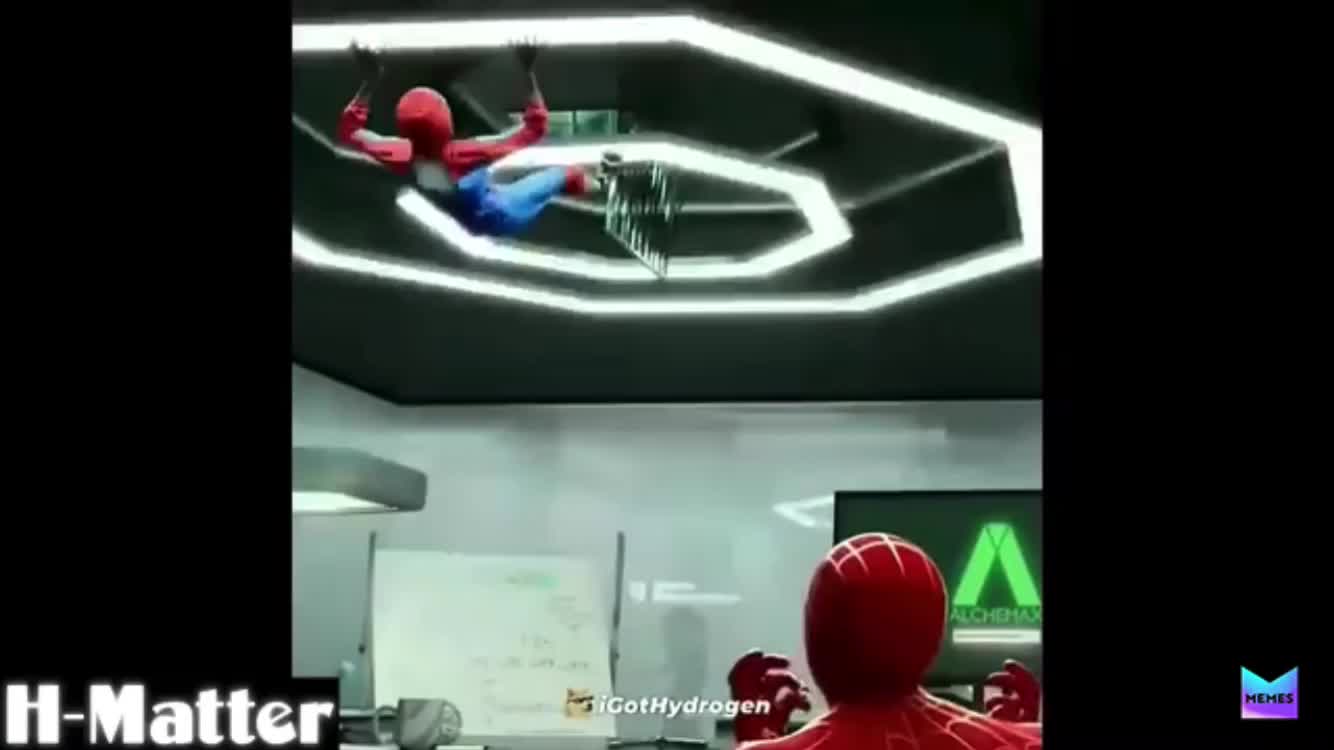 Post by @Randumb_Memes | Memes