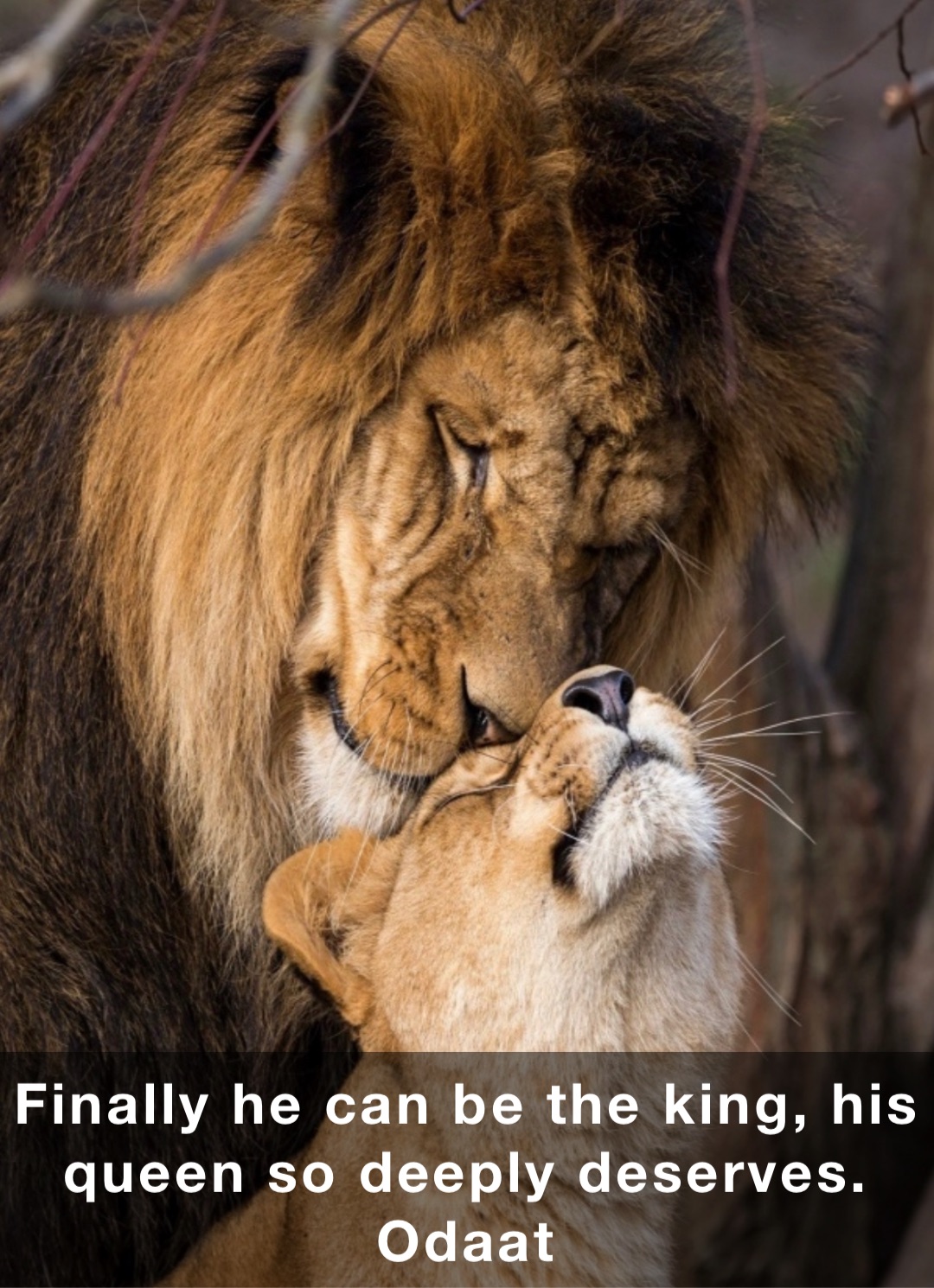 Finally he can be the king, his queen so deeply deserves. Odaat ...