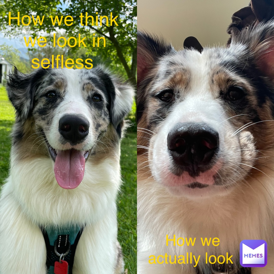 How we think we look in selfless How we actually look | @Onyx_Flight ...