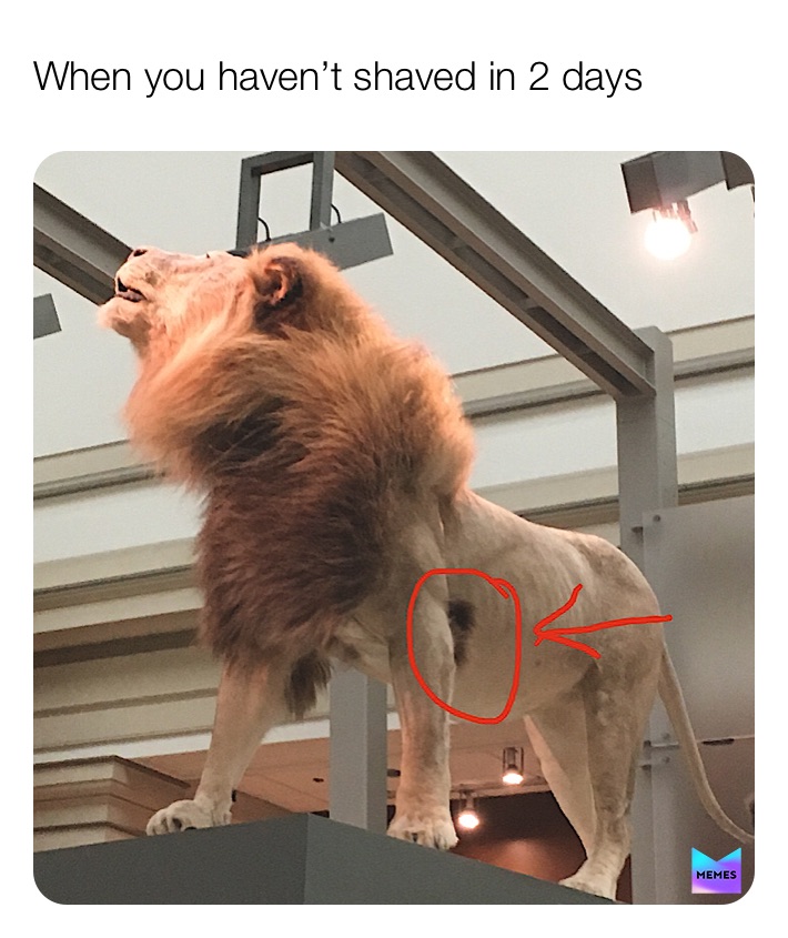 Post by @no_name_random_person | Memes