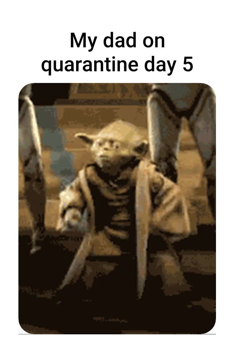 Post by @meme_lird_1212 | Memes