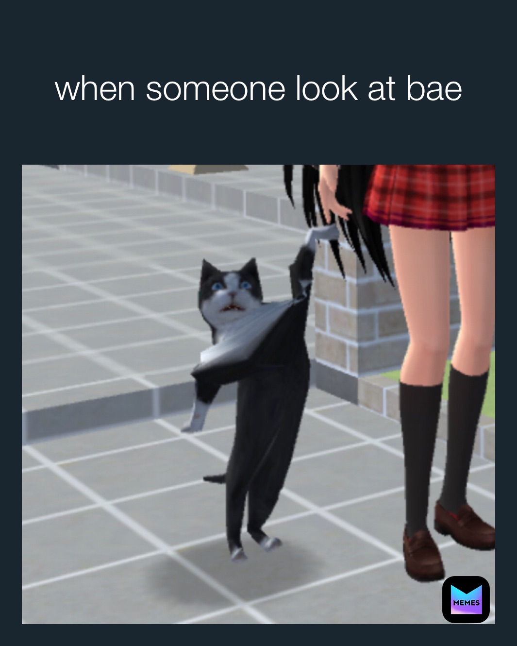 Post by @Welp_This_Is_nice | Memes