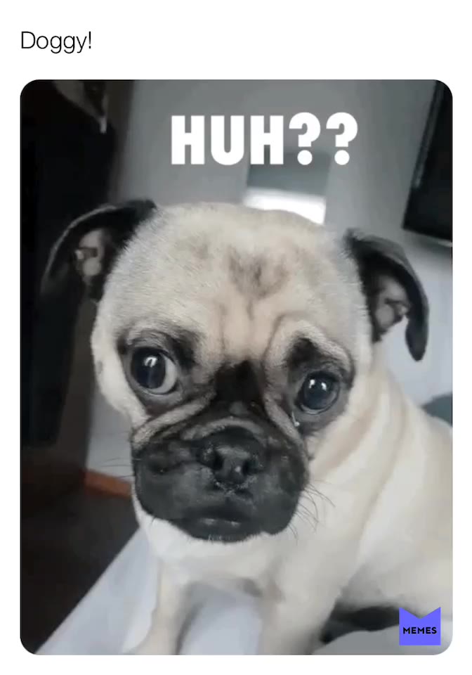 Post by @sheena | Memes