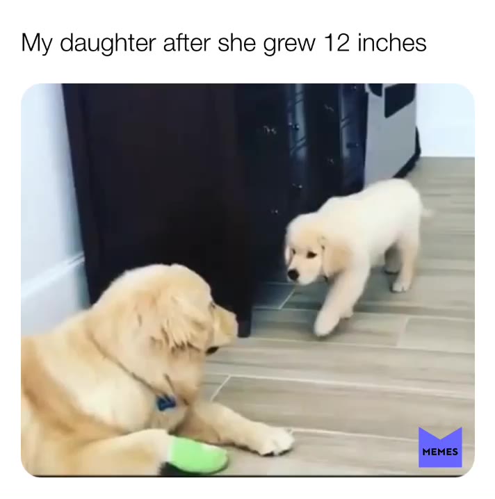 Post by @sheena | Memes