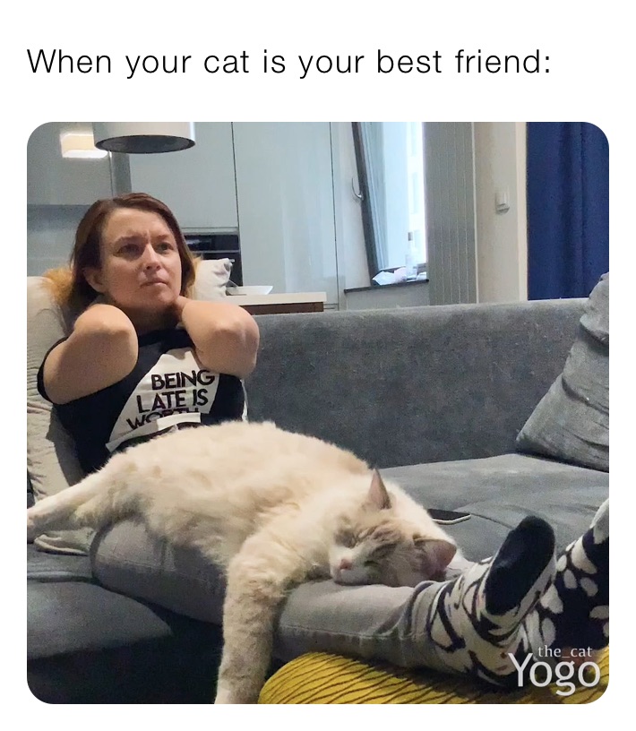 When your cat is your best friend: | @Doggggy | Memes