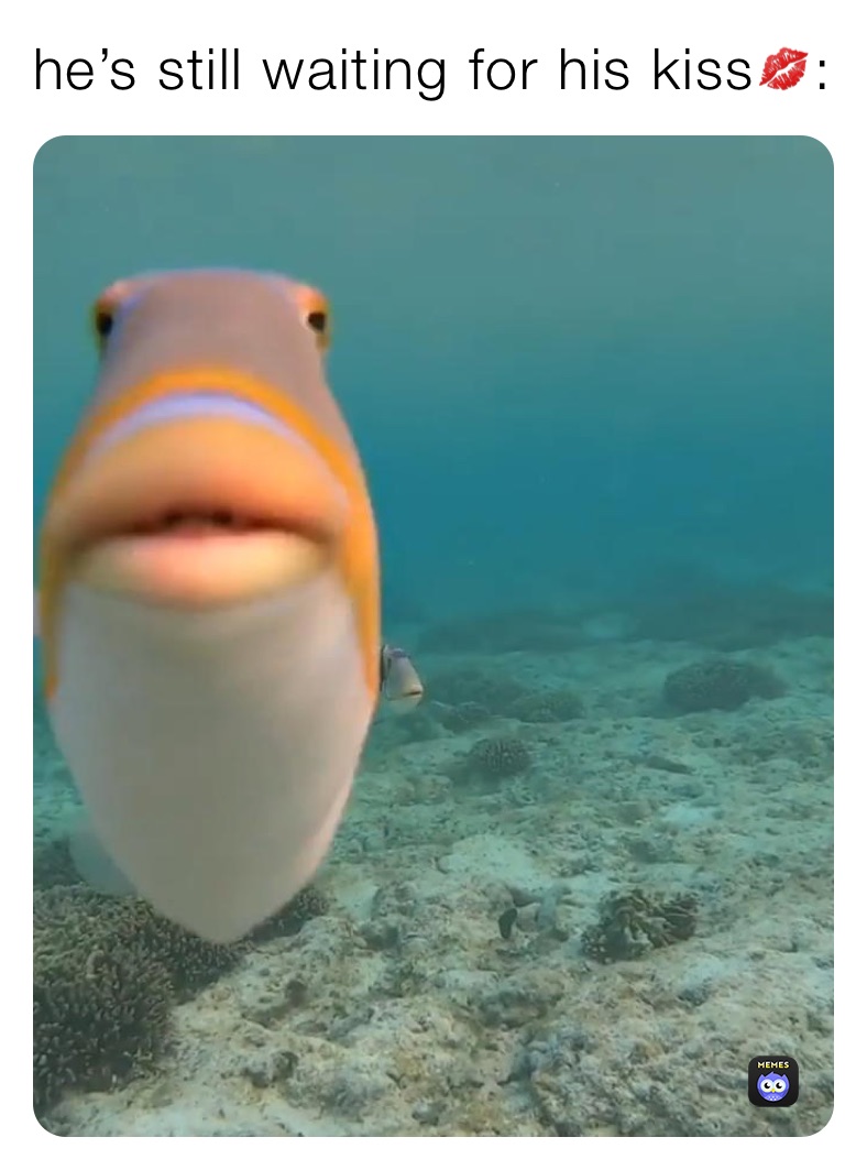 Post by @im_lame_with_a_capital_l | Memes