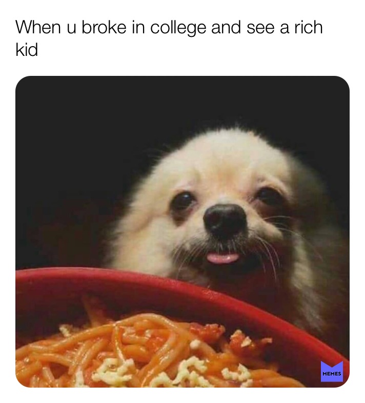 Post by @kittcatt | Memes