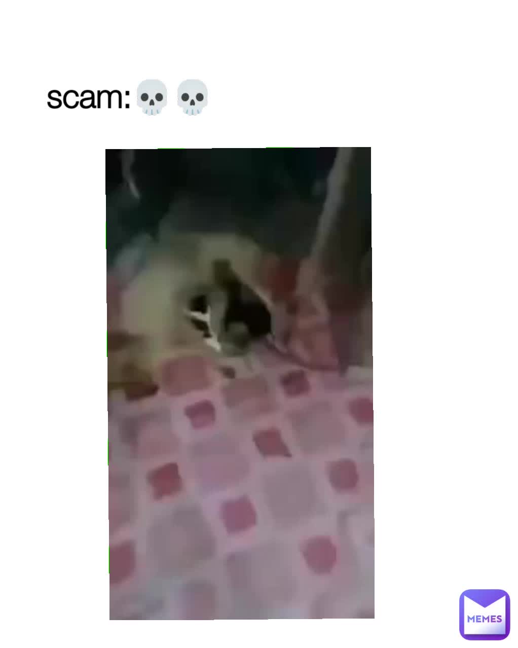 scam:💀💀 | @we_r_meme_nerds | Memes