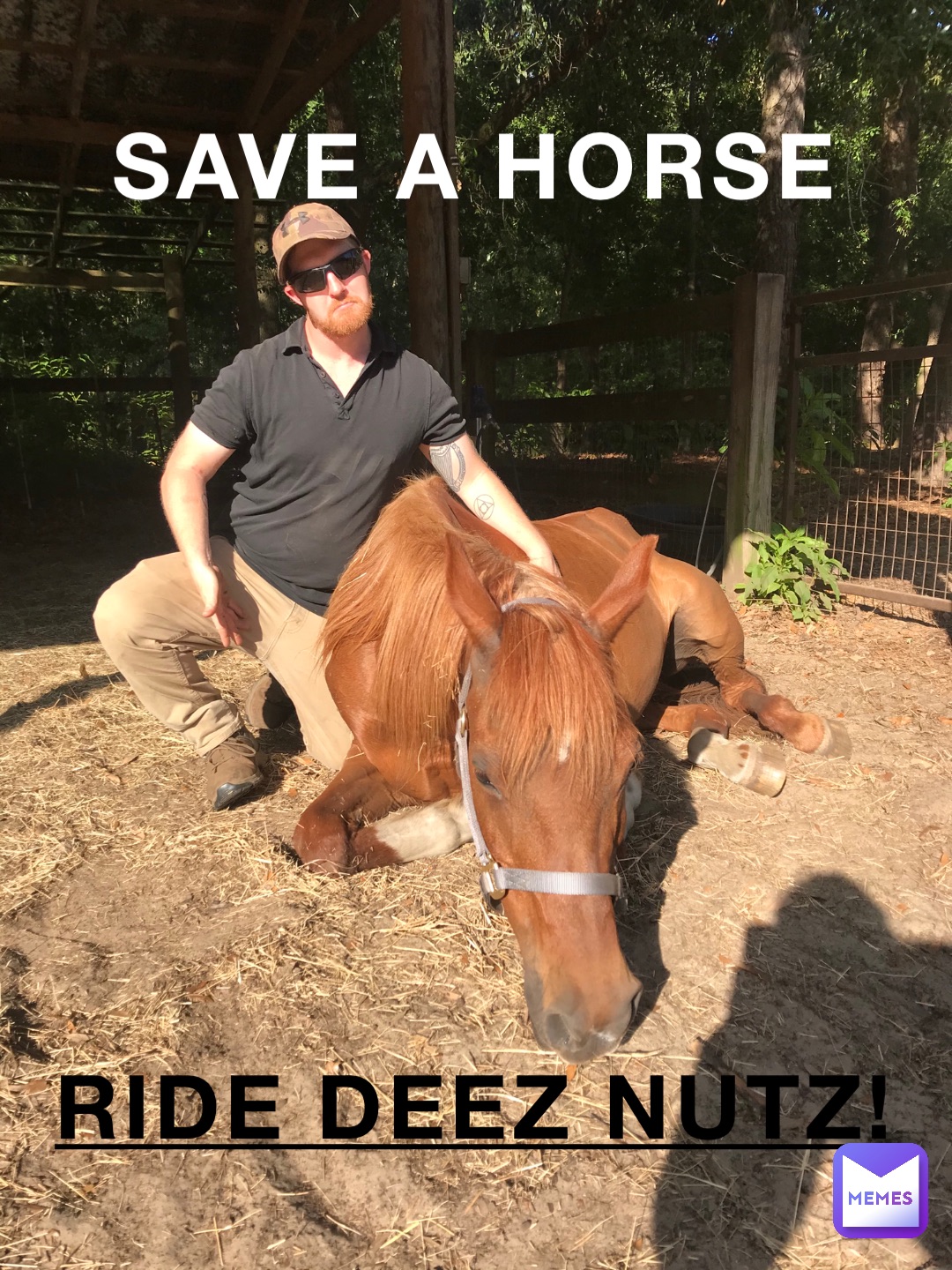 SAVE A HORSE RIDE DEEZ NUTZ! | @tbass3 | Memes