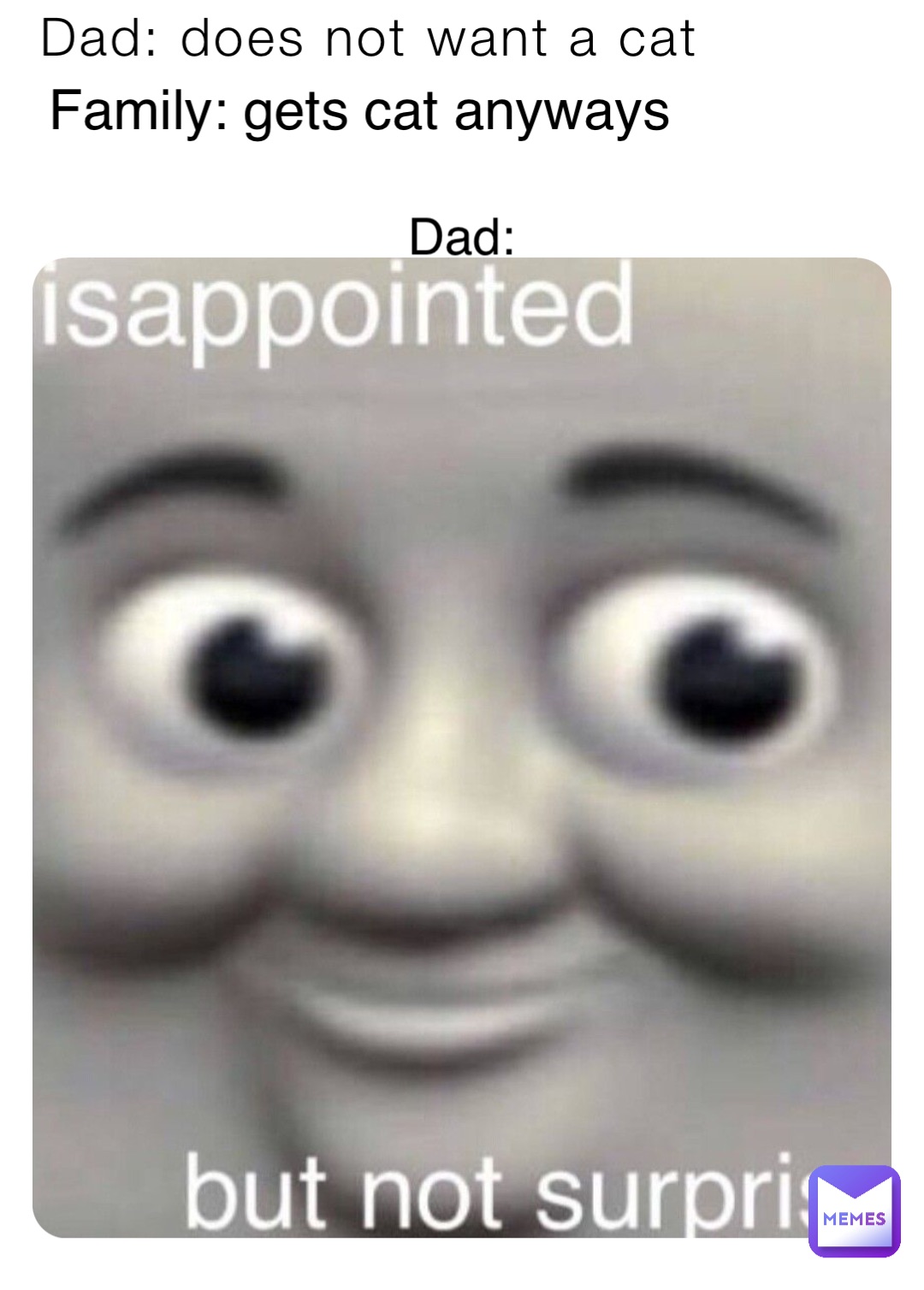 Dad: does not want a cat Family: gets cat anyways Dad: | @relatablememeshere | Memes