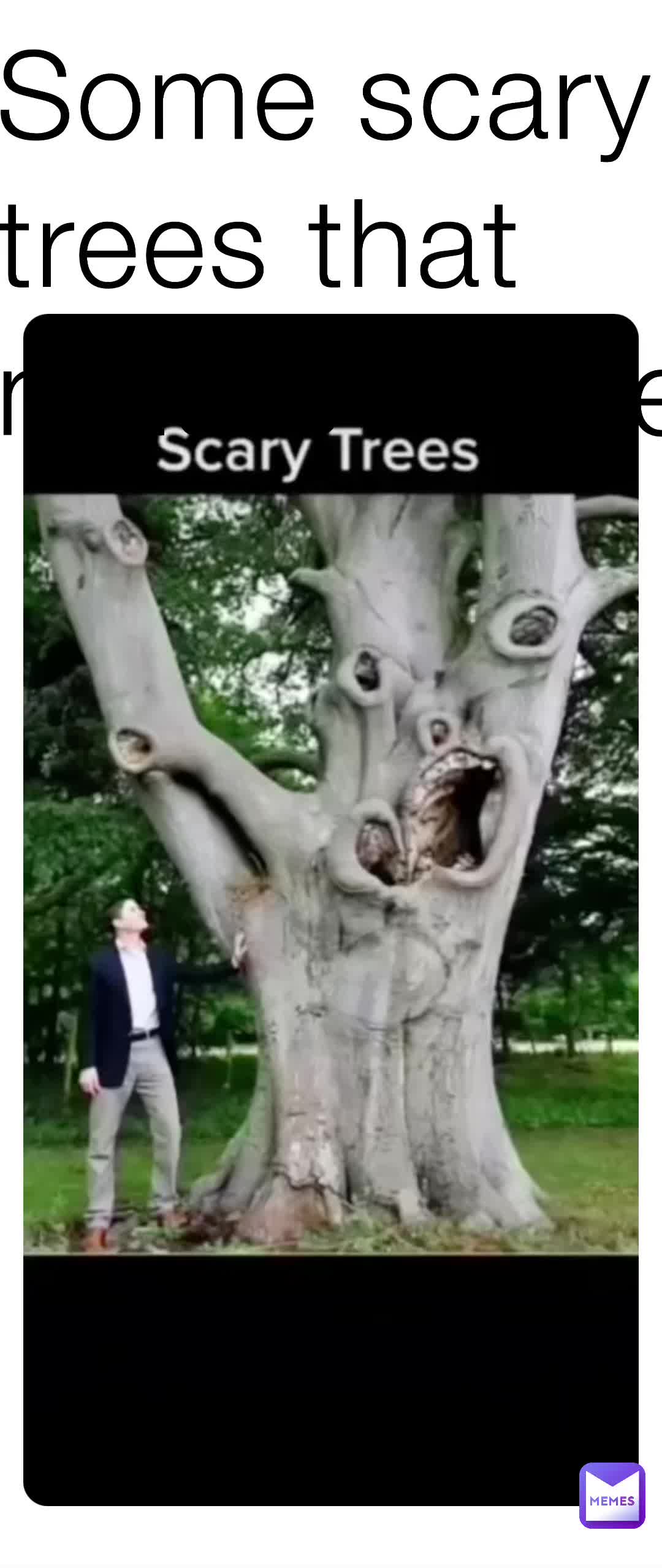 Some scary trees that nature made | @MintWolf | Memes