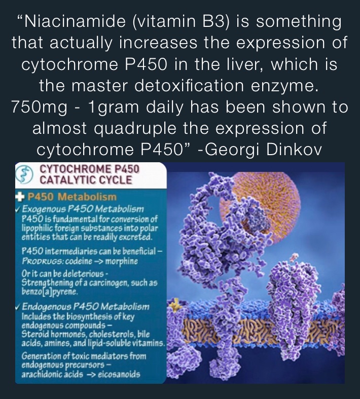 “Niacinamide (vitamin B3) is something that actually increases the ...