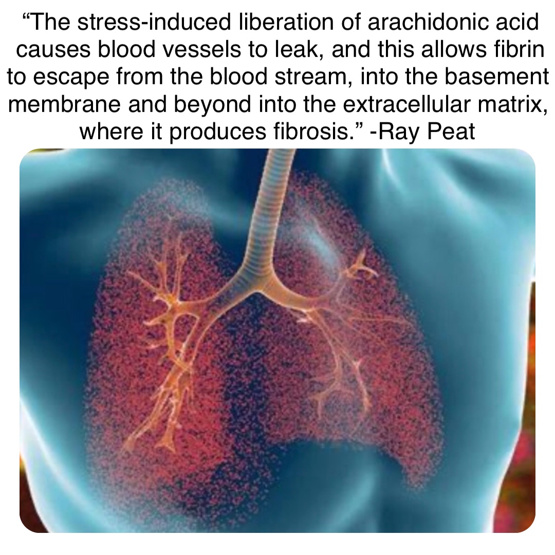 “The stress-induced liberation of arachidonic acid causes blood vessels ...