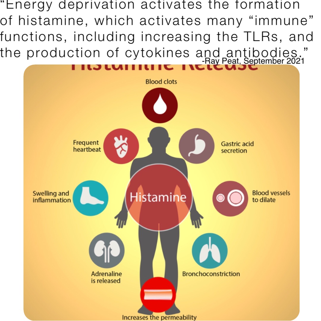 “Energy deprivation activates the formation of histamine, which ...