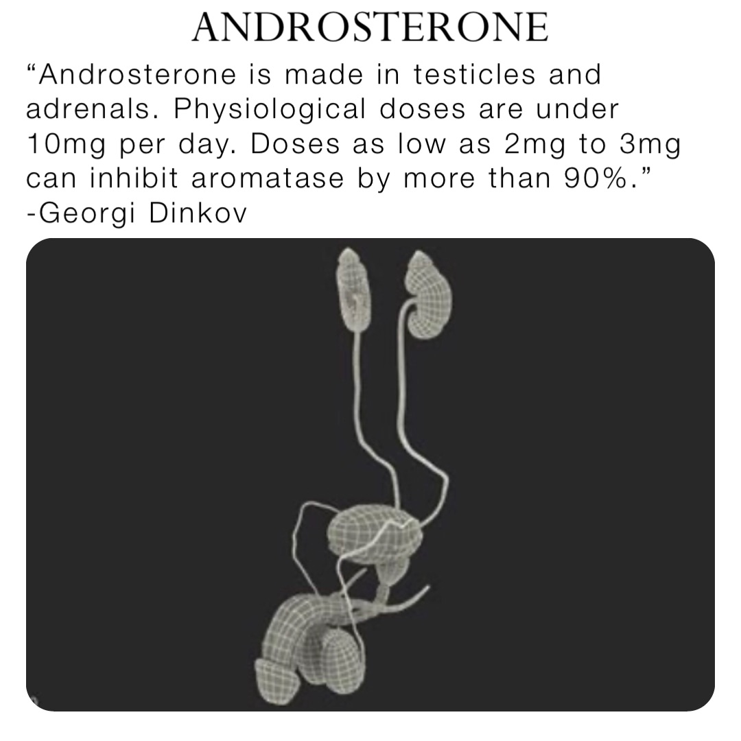 “Androsterone is made in testicles and adrenals. Physiological doses ...