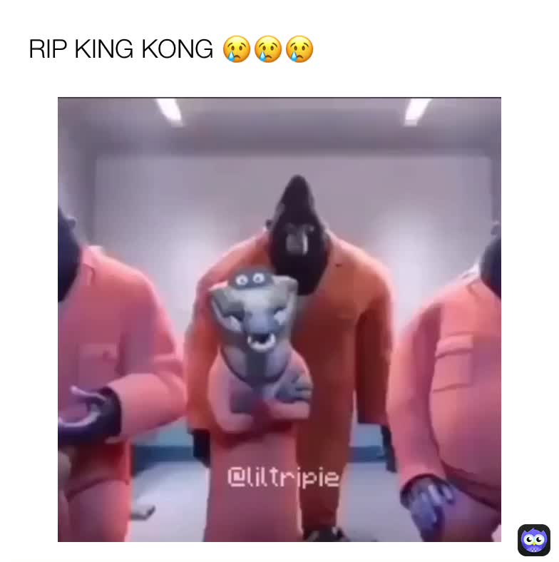 King Kong Meme Girl