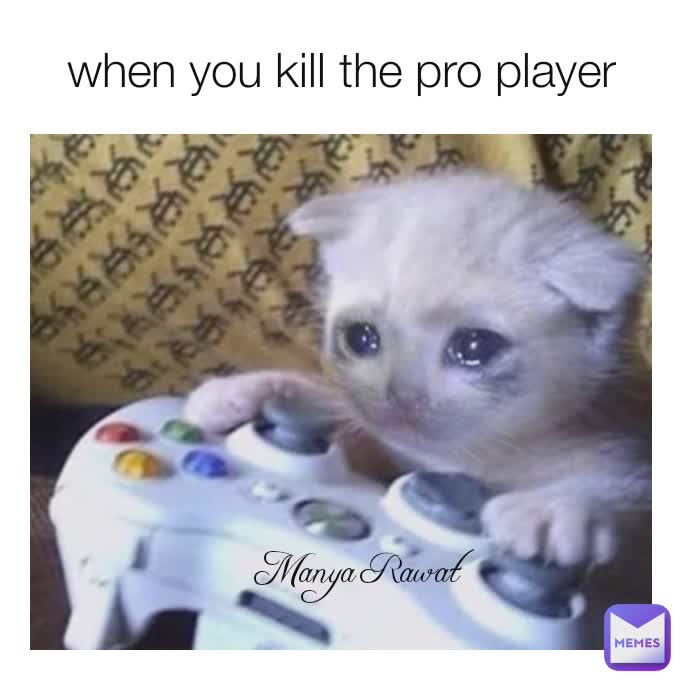 when you kill the pro player Manya Rawat | @mrawat3491 | Memes