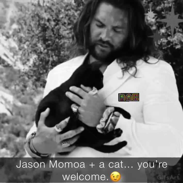 Jason Momoa + a cat... you’re welcome.😉 | @lexie_strums | Memes