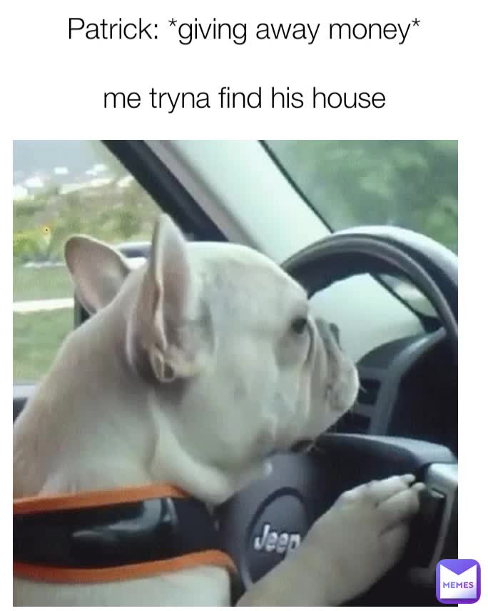 Patrick: *giving away money* me tryna find his house | @W.memesfr | Memes