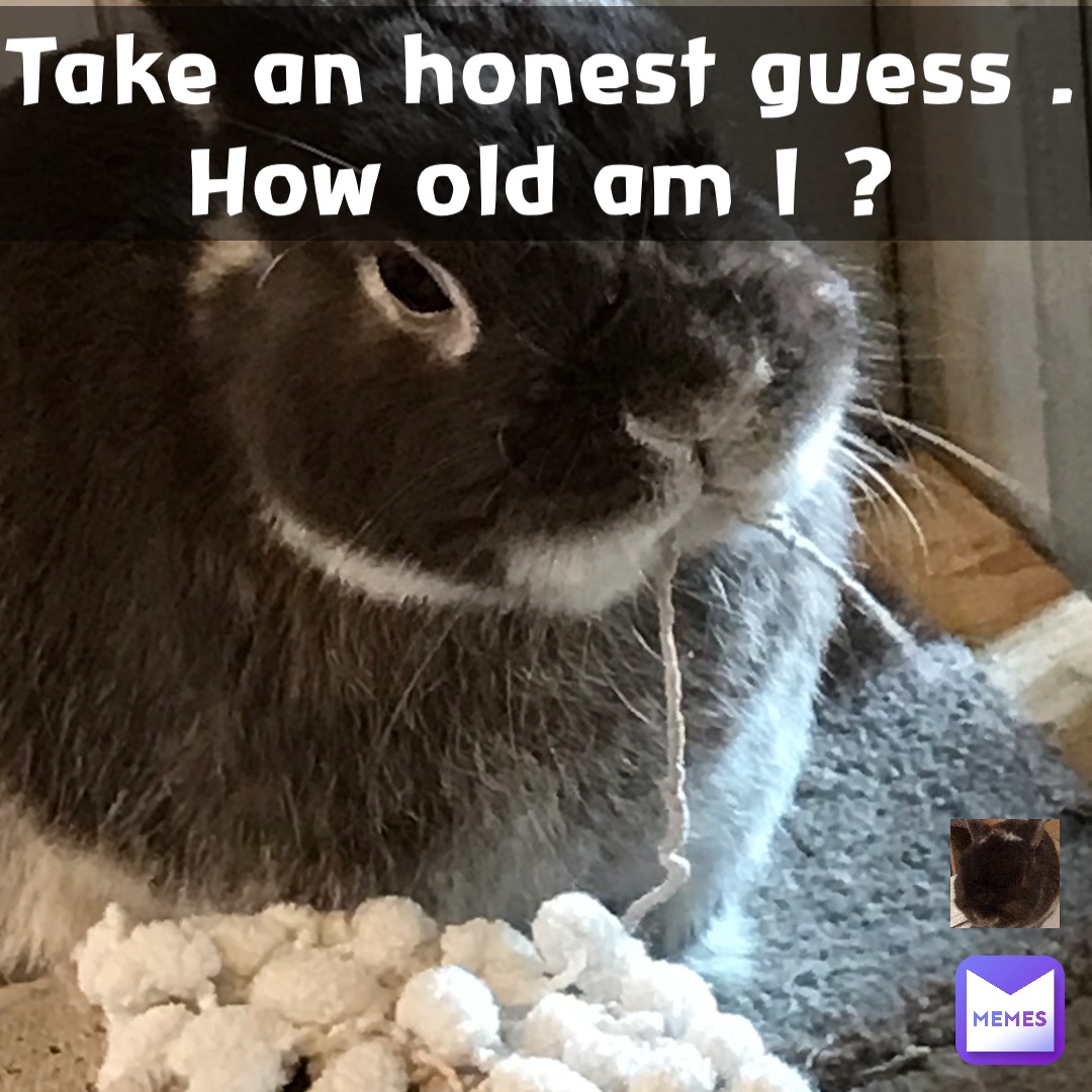 I’m sorry . I posted a “meme” to ask for likes but it was not well ...