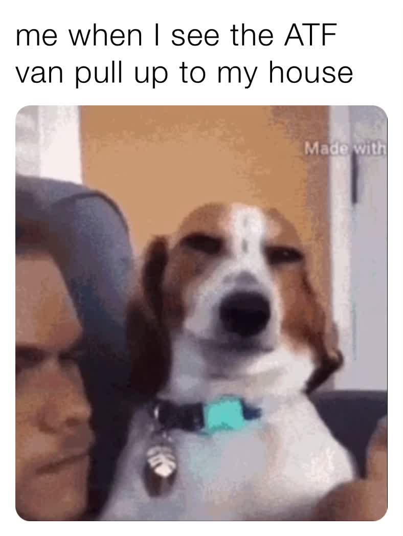 me when I see the ATF van pull up to my house | @chedredwang | Memes