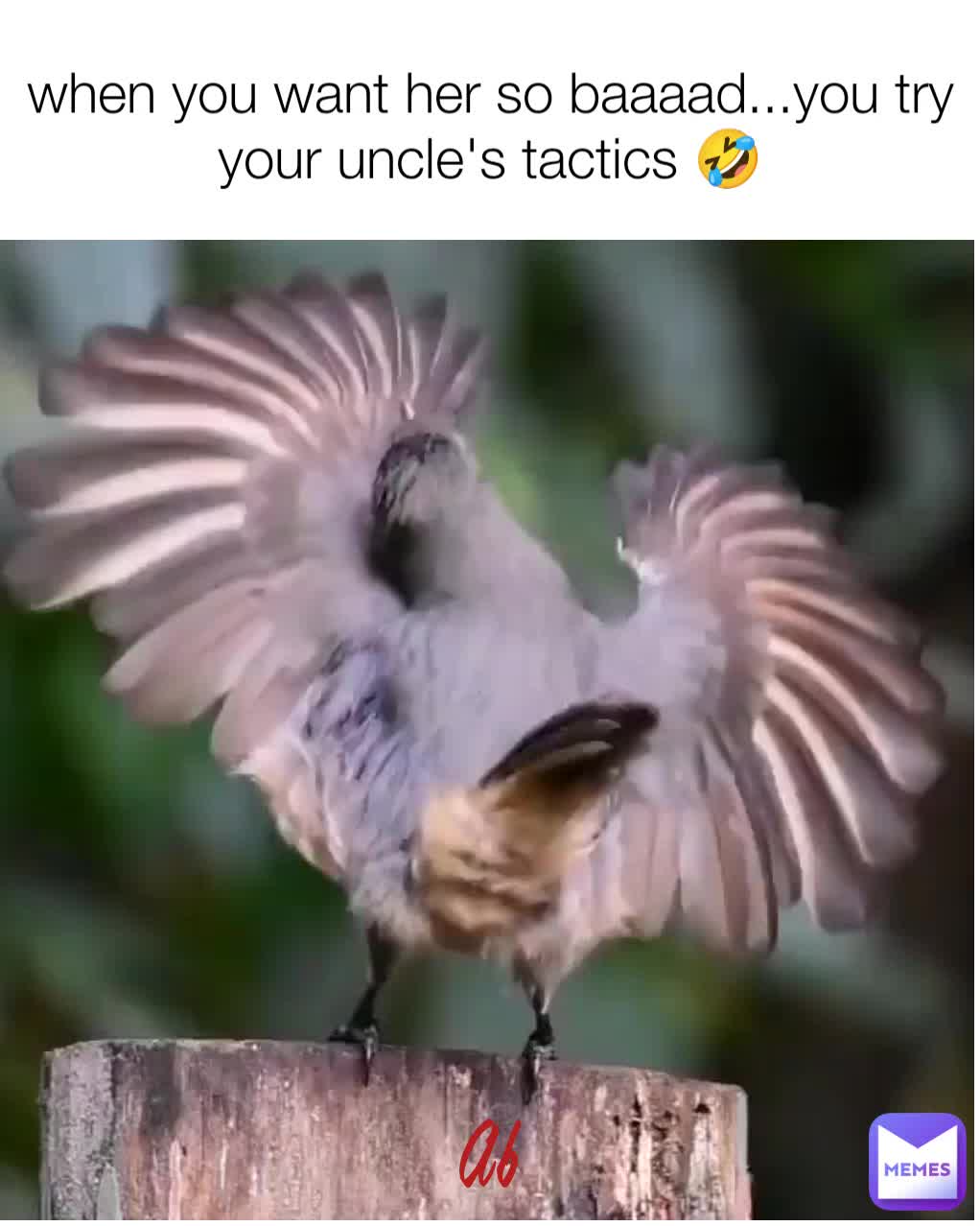 when you want her so baaaad...you try your uncle's tactics 🤣 Ab Ab ...