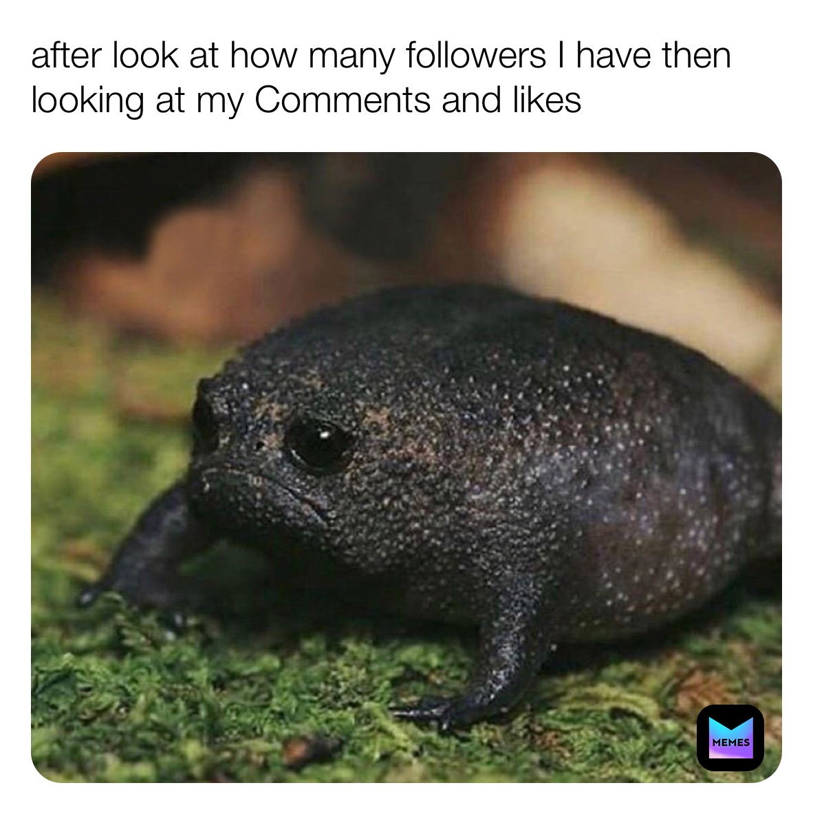 Post by @UgonnaLaugh101 | Memes