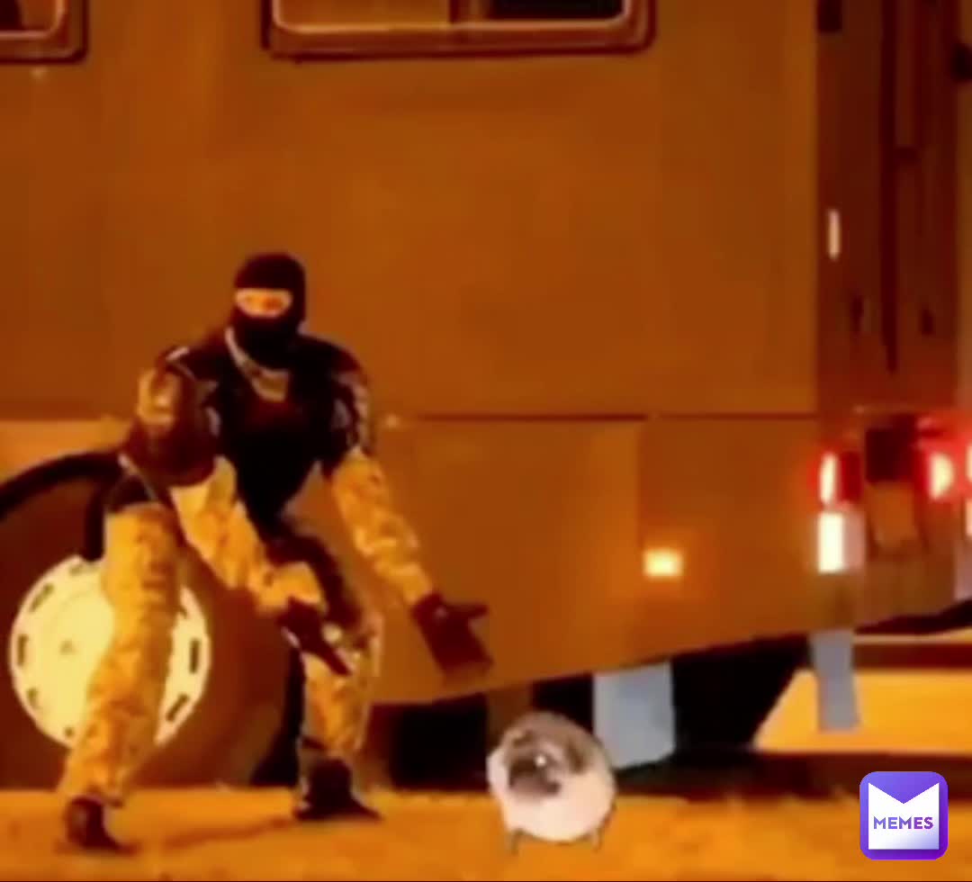 Double tap to edit | @stupid_idoit_memes | Memes