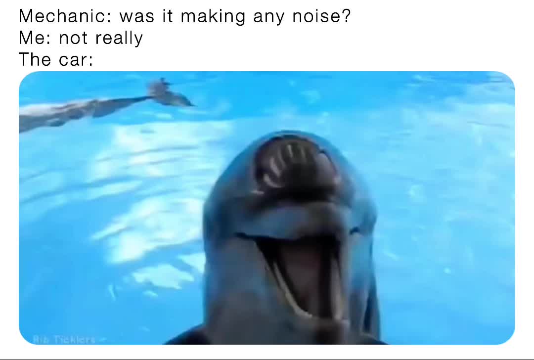 Mechanic: was it making any noise? Me: not really The car ...