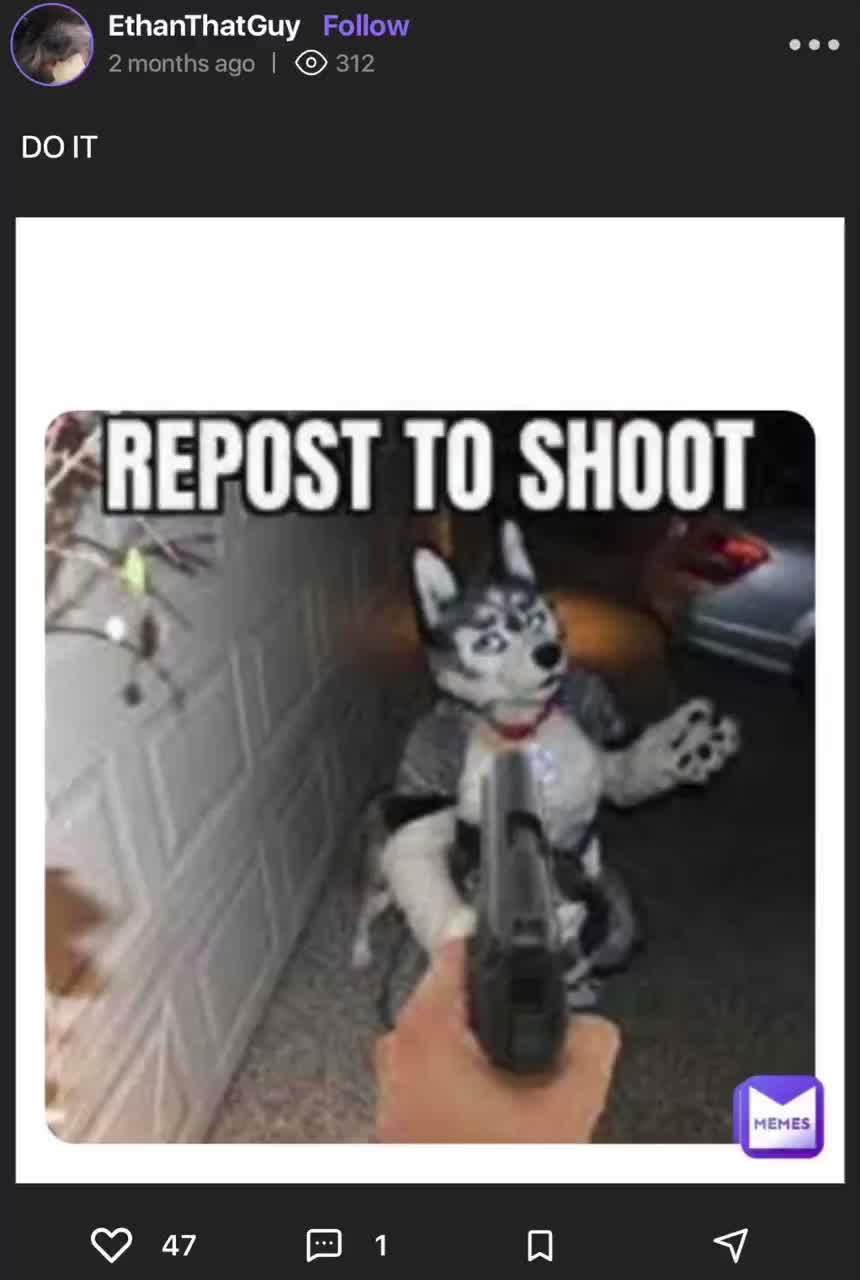 Post by @I_Commit_PiracyVI | Memes