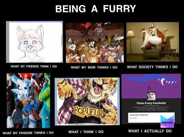 Post by @furry | Memes