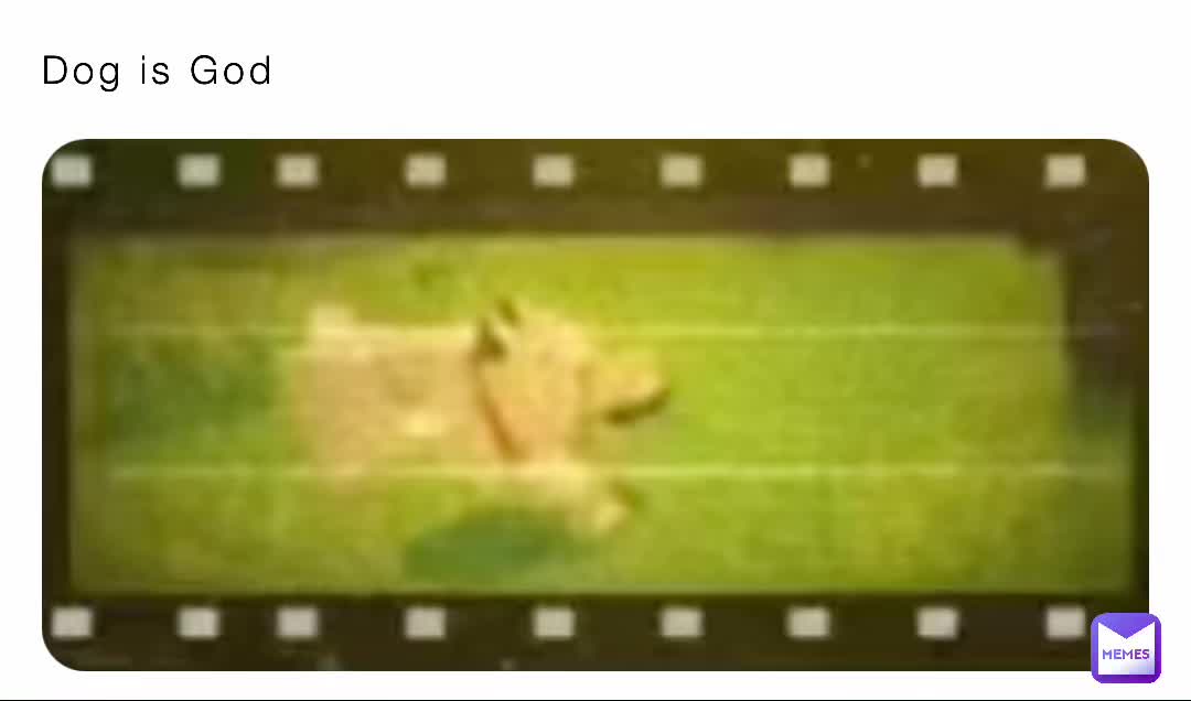 Dog is God | @sy2wv2y4q7 | Memes