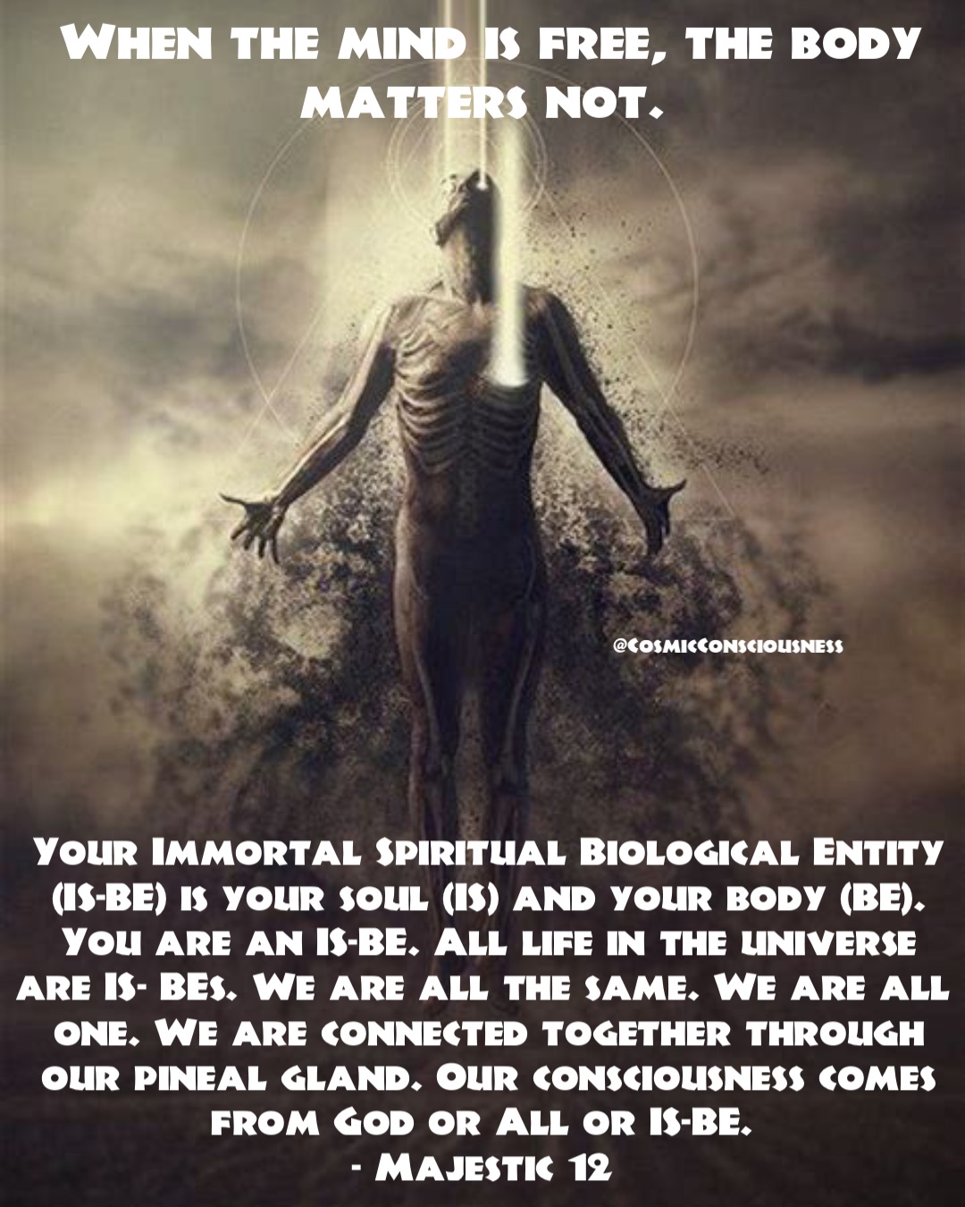 Your Immortal Spiritual Biological Entity (IS-BE) is your soul (IS) and ...
