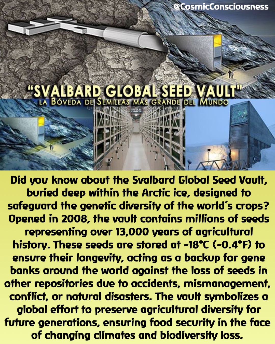 Did you know about the Svalbard Global Seed Vault, buried deep within ...