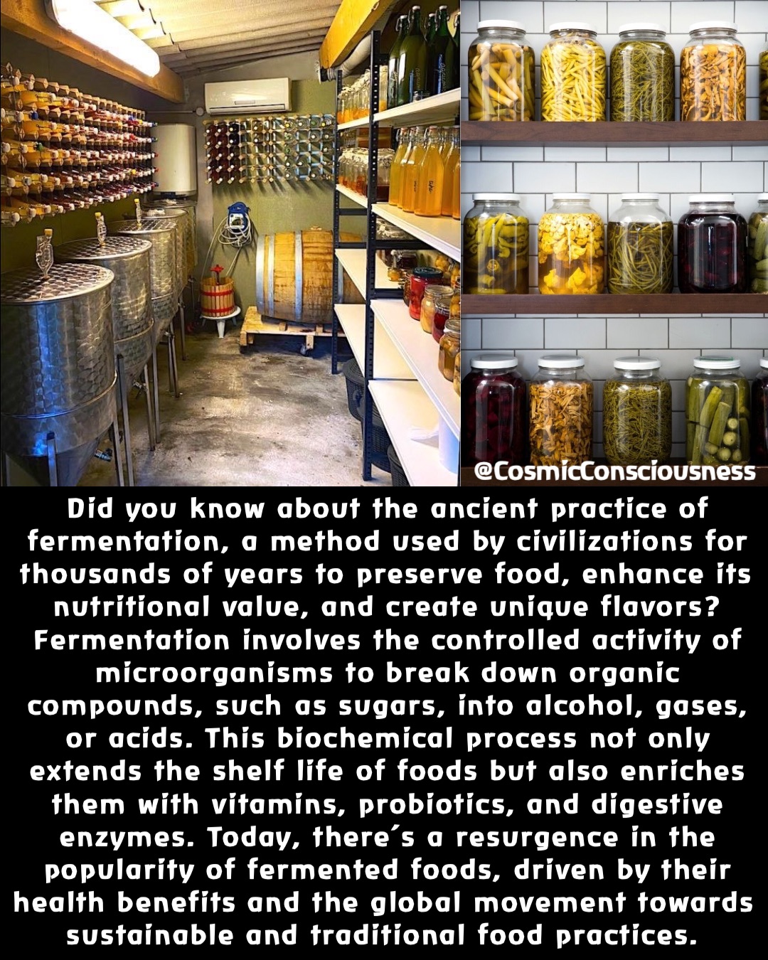 Did you know about the ancient practice of fermentation, a method used ...