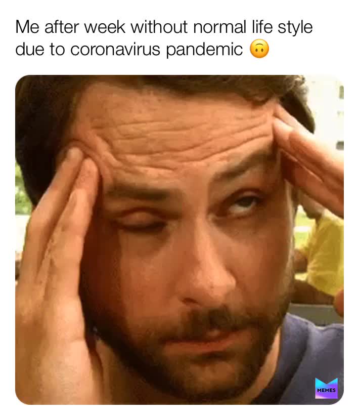 Post by @macas.matej | Memes