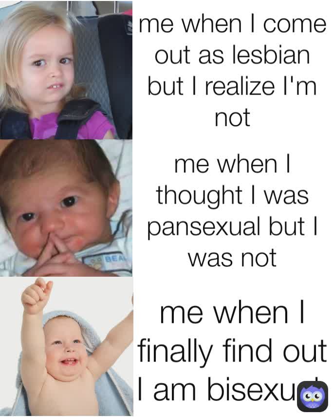 Im Bi Memes